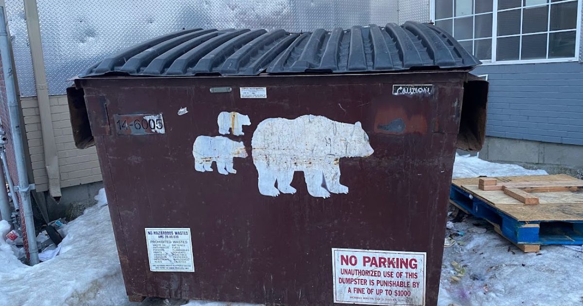 Promoting Waste Management for Sustainable Arctic Cities | The Belfer ...