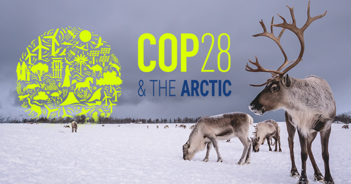 COP28 Climate Outcomes: What Do They Mean for the Arctic? | The Belfer ...
