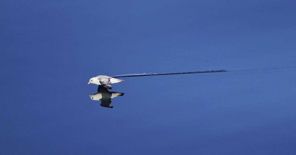 Mapping a Path Forward for Arctic Cooperation with Russia: A ...