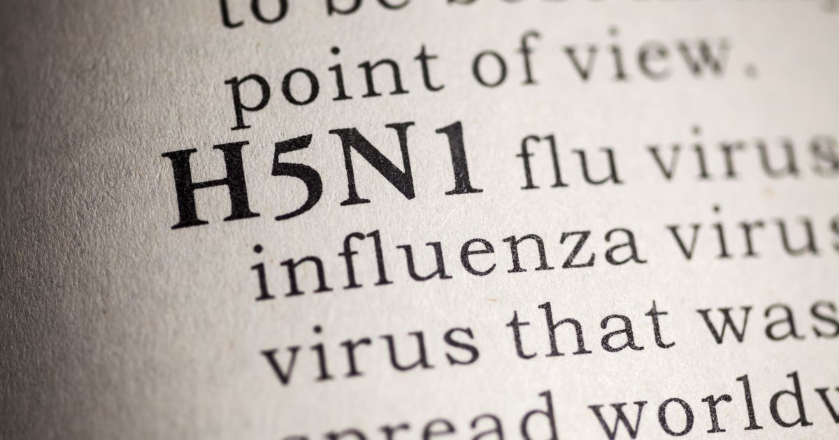 Navigating the Complexities of Bird Flu (H5N1): Highlights from H5N1 ...