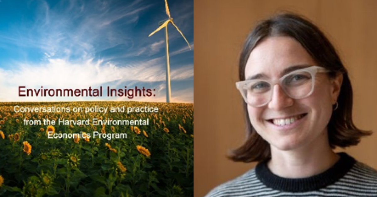 Investigating Complex Market Design Questions: A Conversation with Anna ...