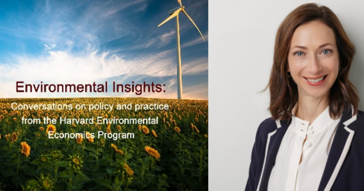 The Future of EVs: A Conversation with Elaine Buckberg | The Belfer ...