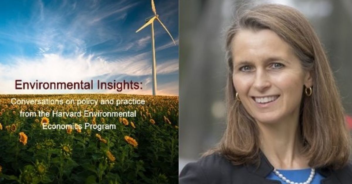 COP30 and the Prospects for Climate Coalitions: A Conversation with Catherine Wolfram | The ...