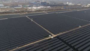 Henry Lee | The Belfer Center for Science and International Affairs