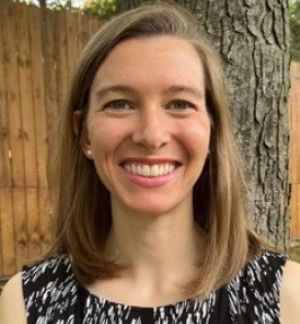 Introducing the Government-Sponsored Mass Expulsion Dataset | The ...