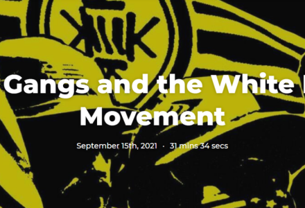 Youth Gangs and the White Power Movement | The Belfer Center for ...