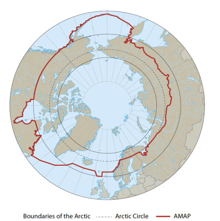 What Makes the Arctic and Its Governance Exceptional? Stories of ...